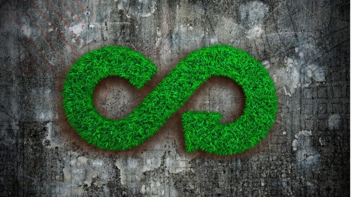 Circular Economy: Weston’s Role in Sustainable Transformation